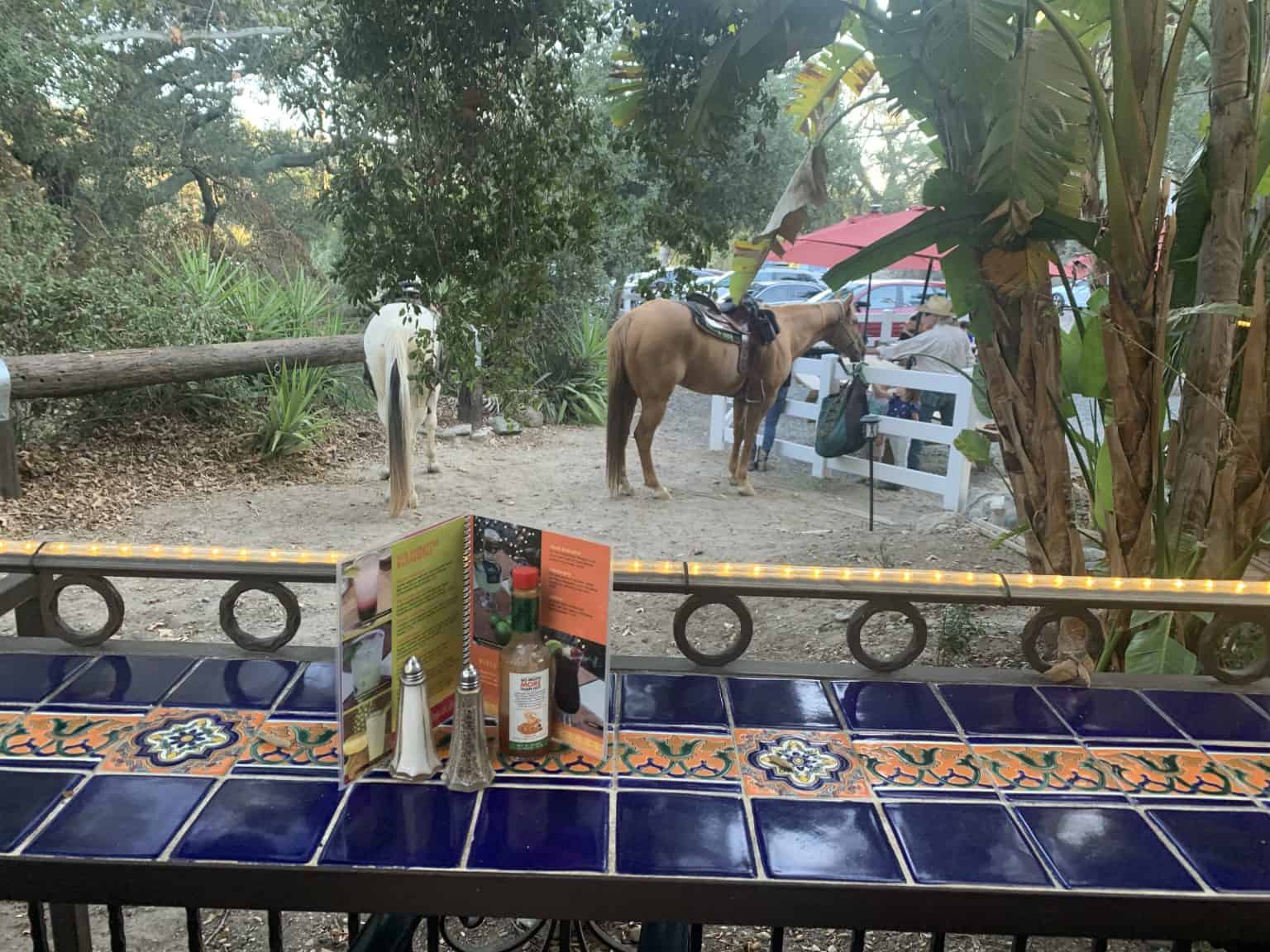 Rose Canyon Cantina & Grill in Trabuco Canyon: My Review ...