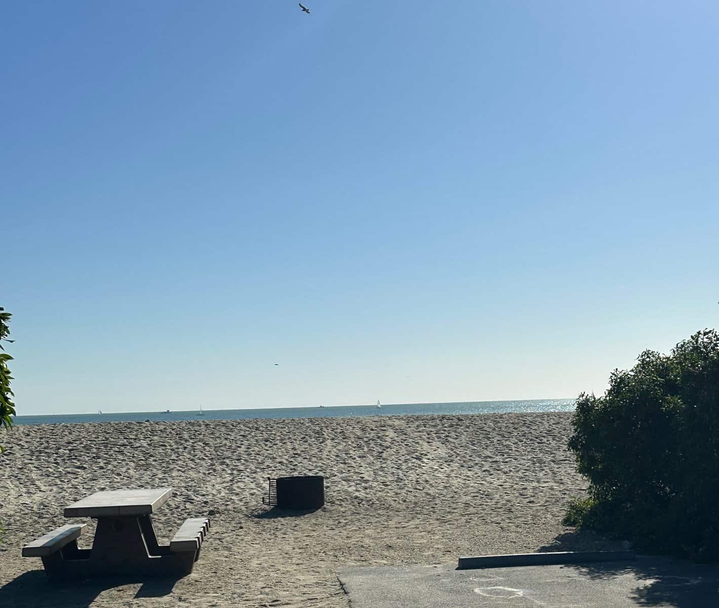 Doheny State Beach's Campground Unveiled: Your Gateway to Coastal ...