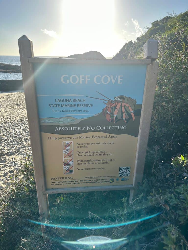 Goff Cove in Laguna Beach: Discover the Secluded Splendor of this ...