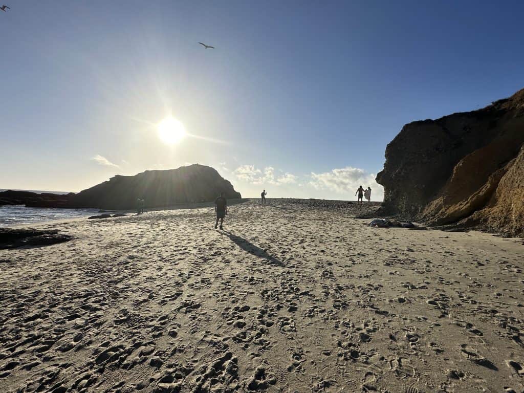 Goff Cove in Laguna Beach: Discover the Secluded Splendor of this ...