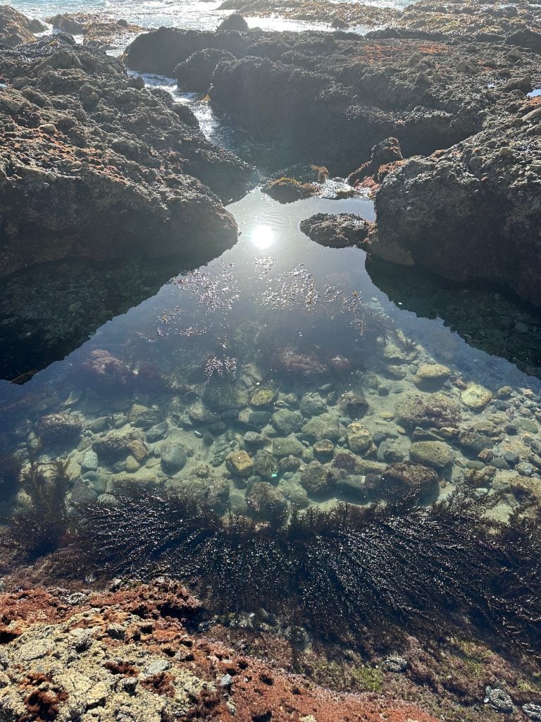 Victoria Beach in Laguna Beach: A Guide to Southern California's Hidden ...