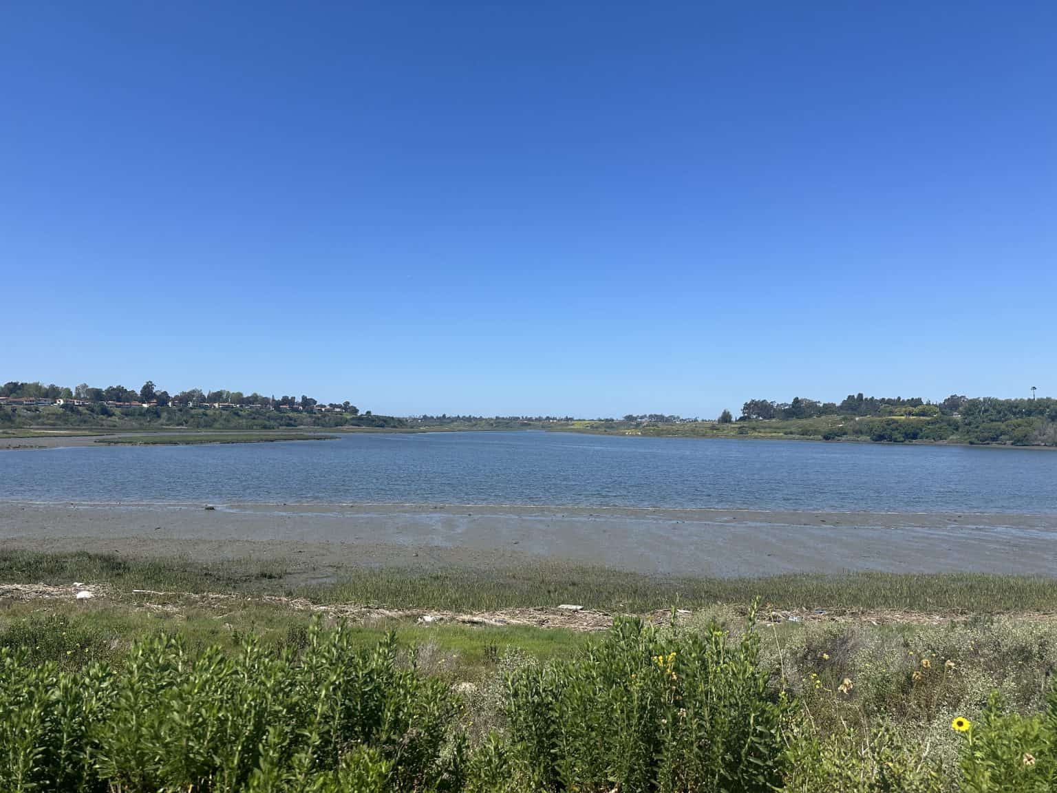 Back Bay Loop Trail in Newport Beach: Scenic Views, Birdwatching, and ...