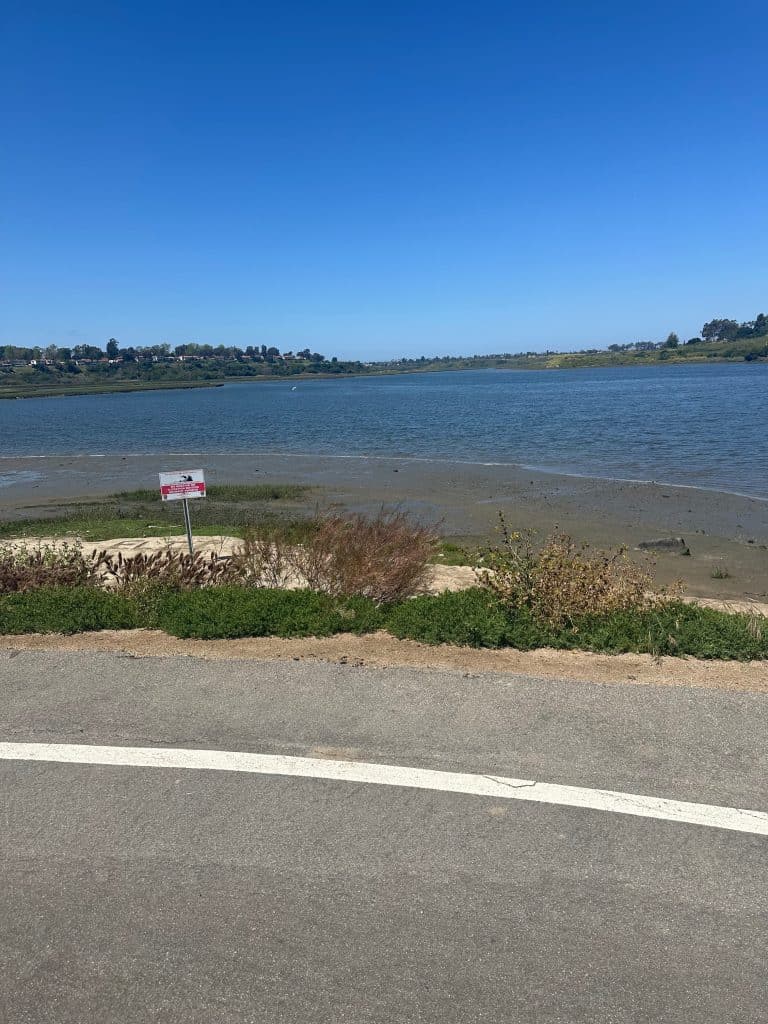 Back Bay Loop Trail in Newport Beach: Scenic Views, Birdwatching, and ...