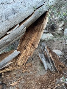 Seven Teacups Hike in Sequoia National Forest Between Kernville and ...
