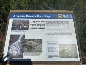 Back Bay Loop Trail in Newport Beach: Scenic Views, Birdwatching, and ...