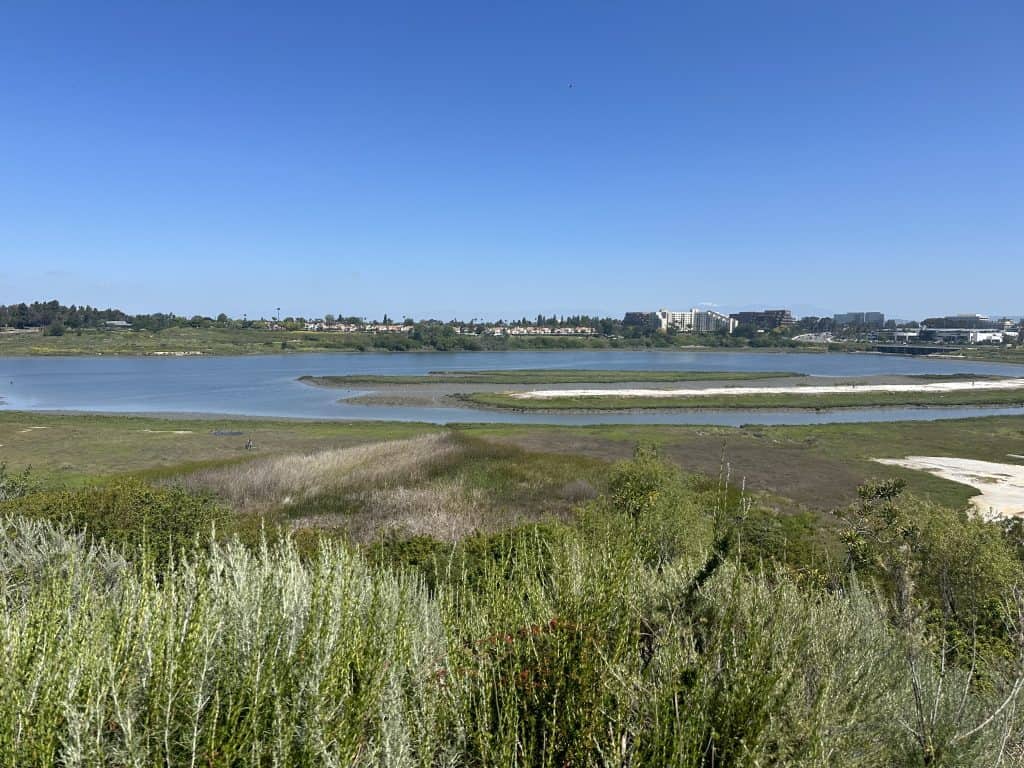 Back Bay Loop Trail in Newport Beach: Scenic Views, Birdwatching, and ...